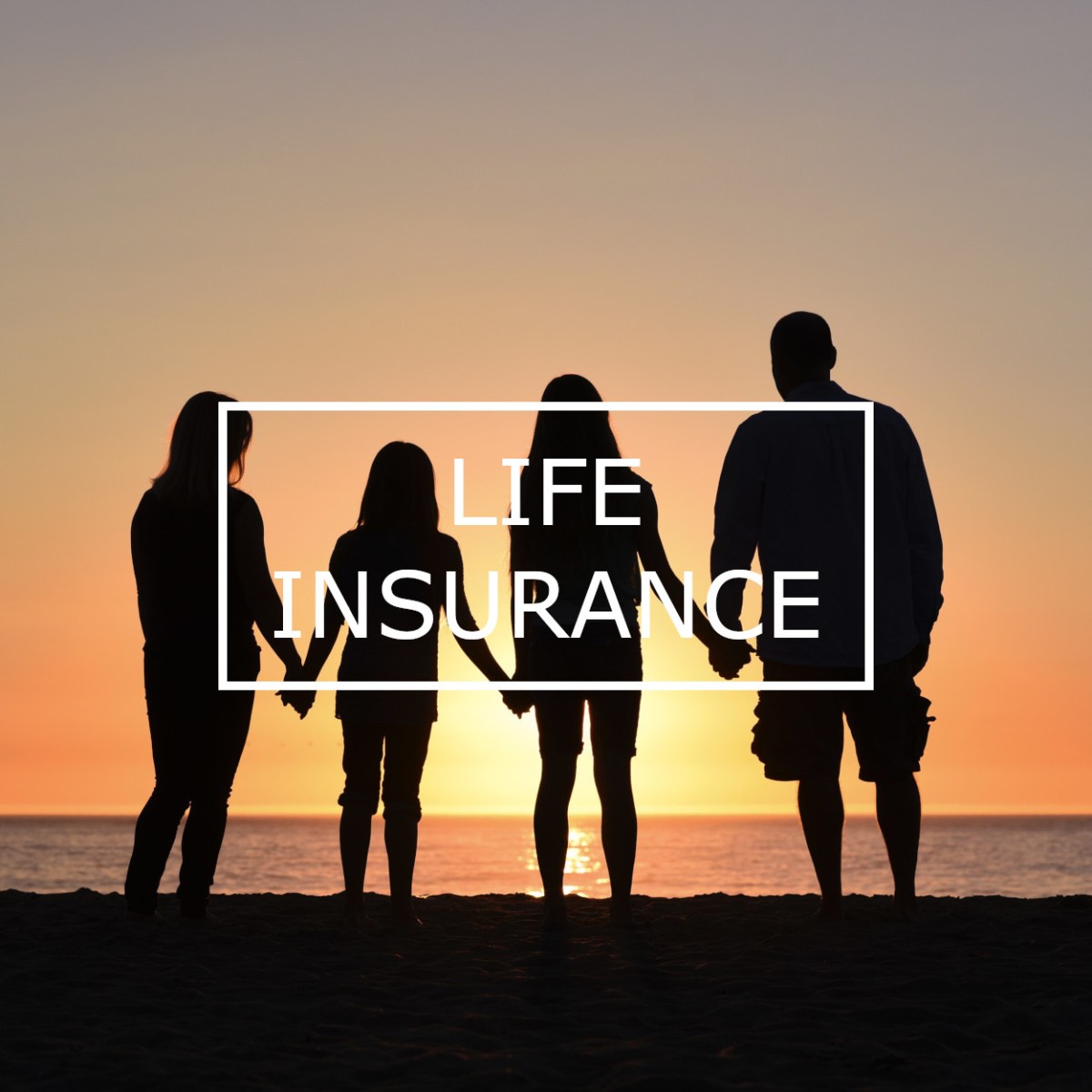 Life Insurance – Strategic Insurance Partners